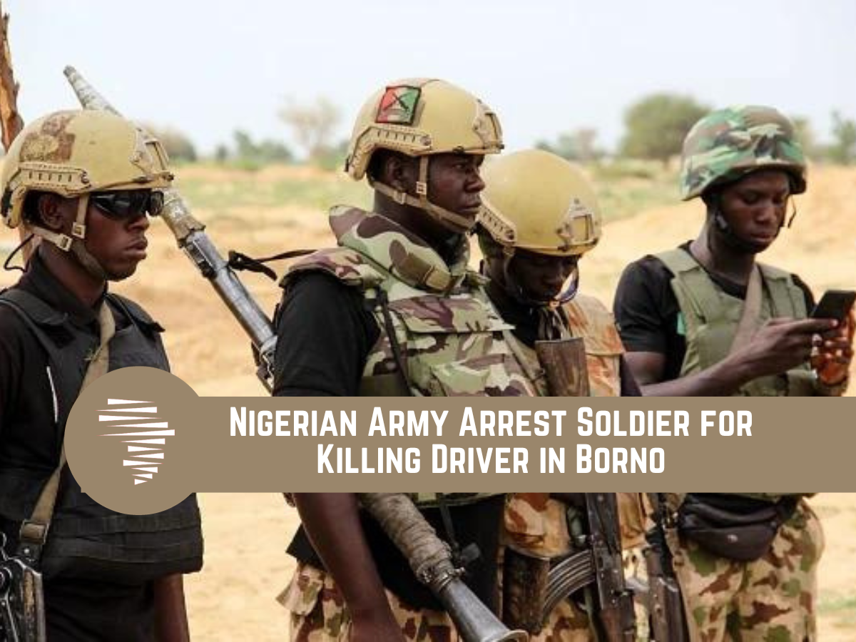 Nigerian Army Arrest Soldier for Killing Driver in Borno - West Africa ...