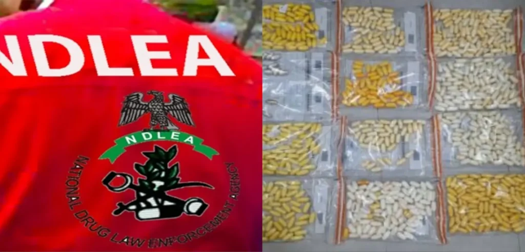 NDLEA Seizes $3 Million Worth Of Cocaine At Lagos Airport - West Africa ...
